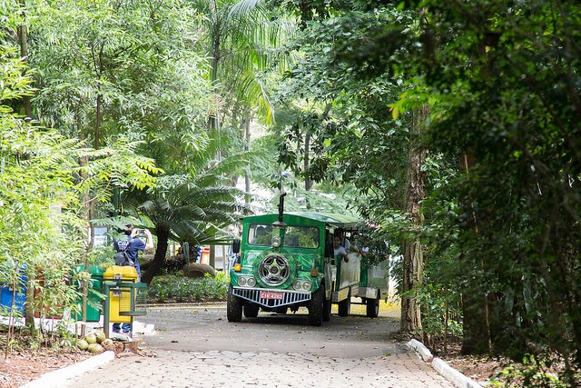 Trenzinho, museu e trilhas são atrações do Parque do Ingá - GMC Online