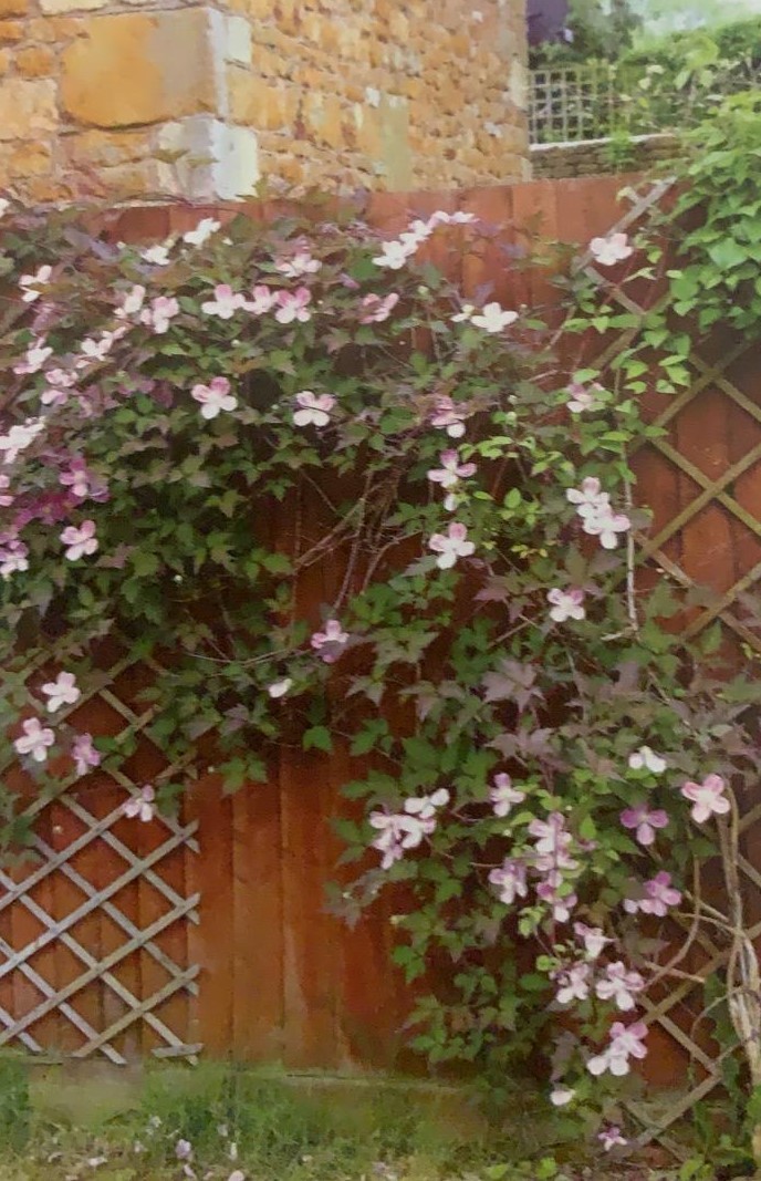 Sábado de tempo instável e máxima de 31ºC em Maringá - GMC Online