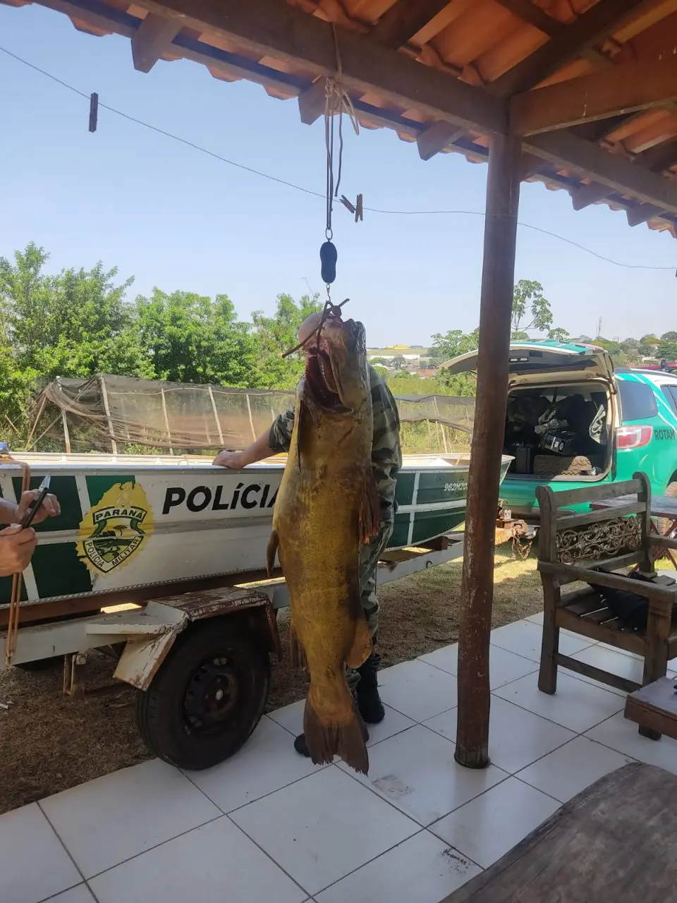 Pesca ilegal: Homem é preso após pescar peixe de 90 kg no Rio Ivaí