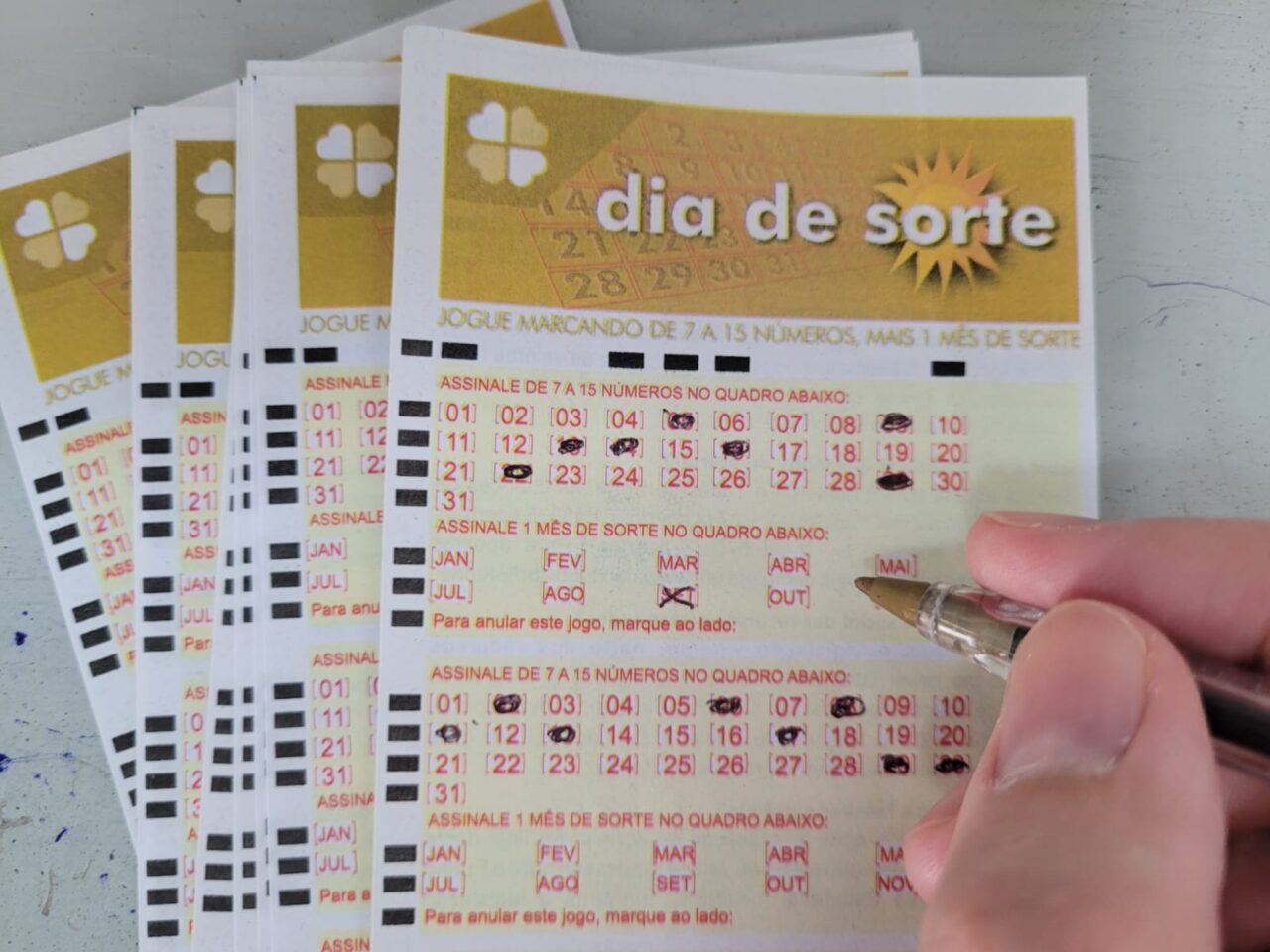 Resultado do Dia de Sorte: concurso 1005