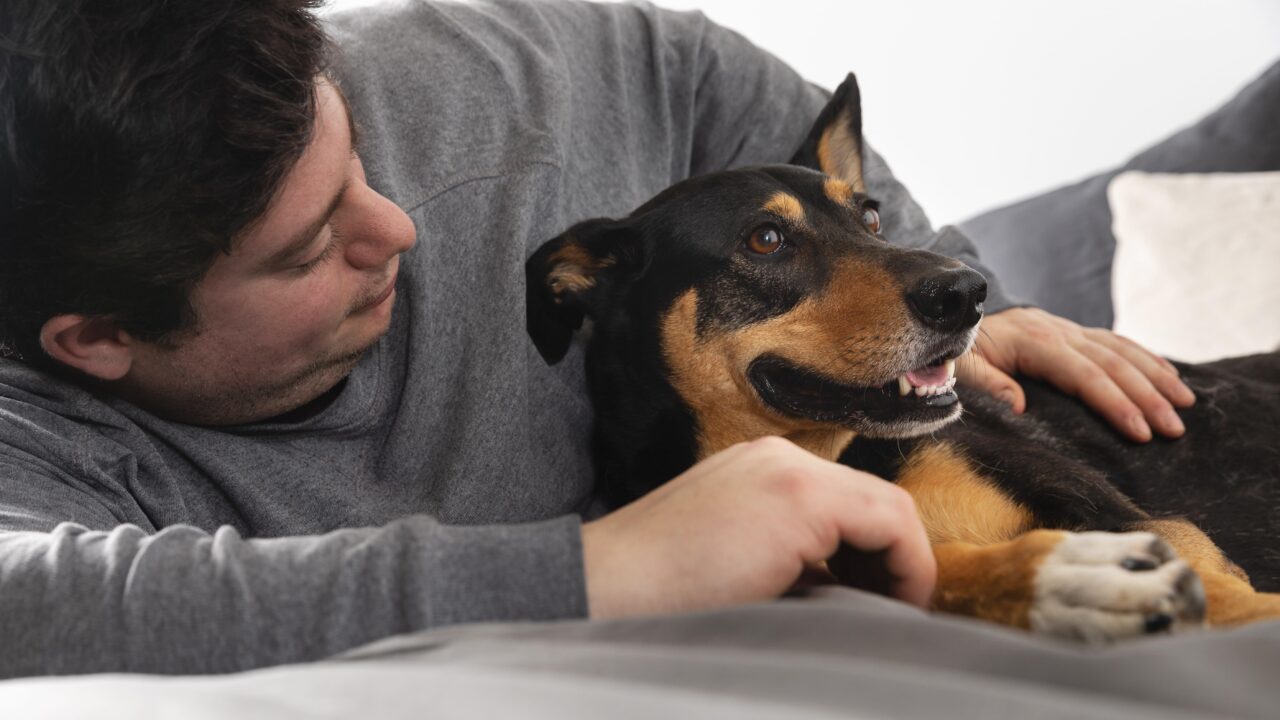 Entenda diferença entre pets para suporte emocional, terapia e serviço