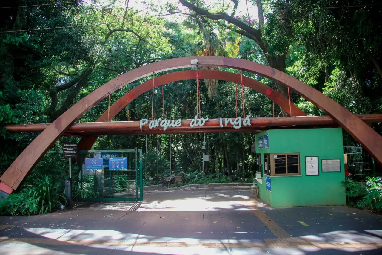 Edital de concessão prevê arvorismo, tirolesa, Café Locomotiva e novos ...