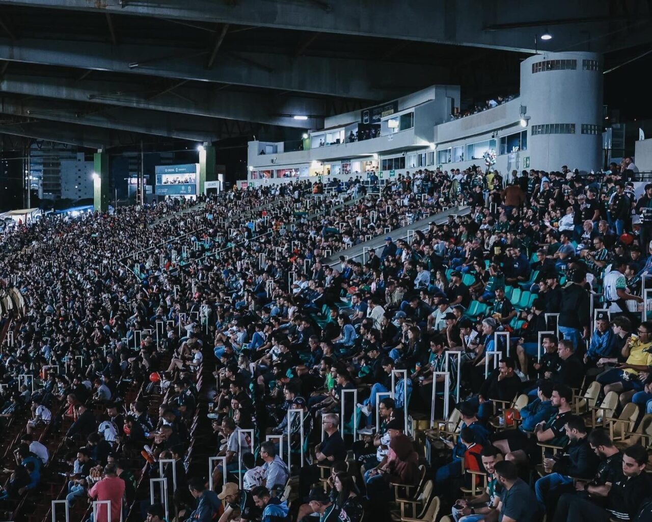 Saiba como será a divisão de torcidas em Galo Maringá x Maringá FC, no WD